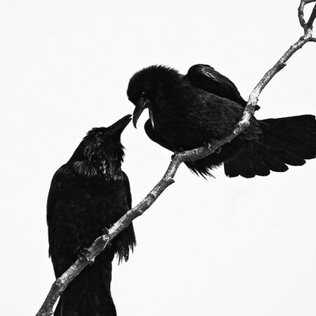 Stream pick 'em up. (LGIO 2) @yanu x @mqndy x @ca1eb by yanu | Listen ...