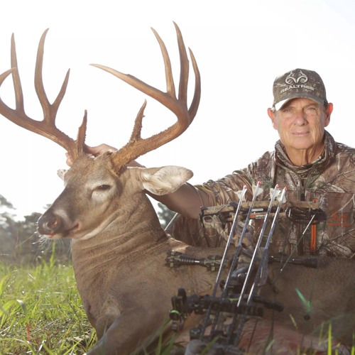 Stream E386 - The Man Behind One of The Most Iconic Brands in The World ...