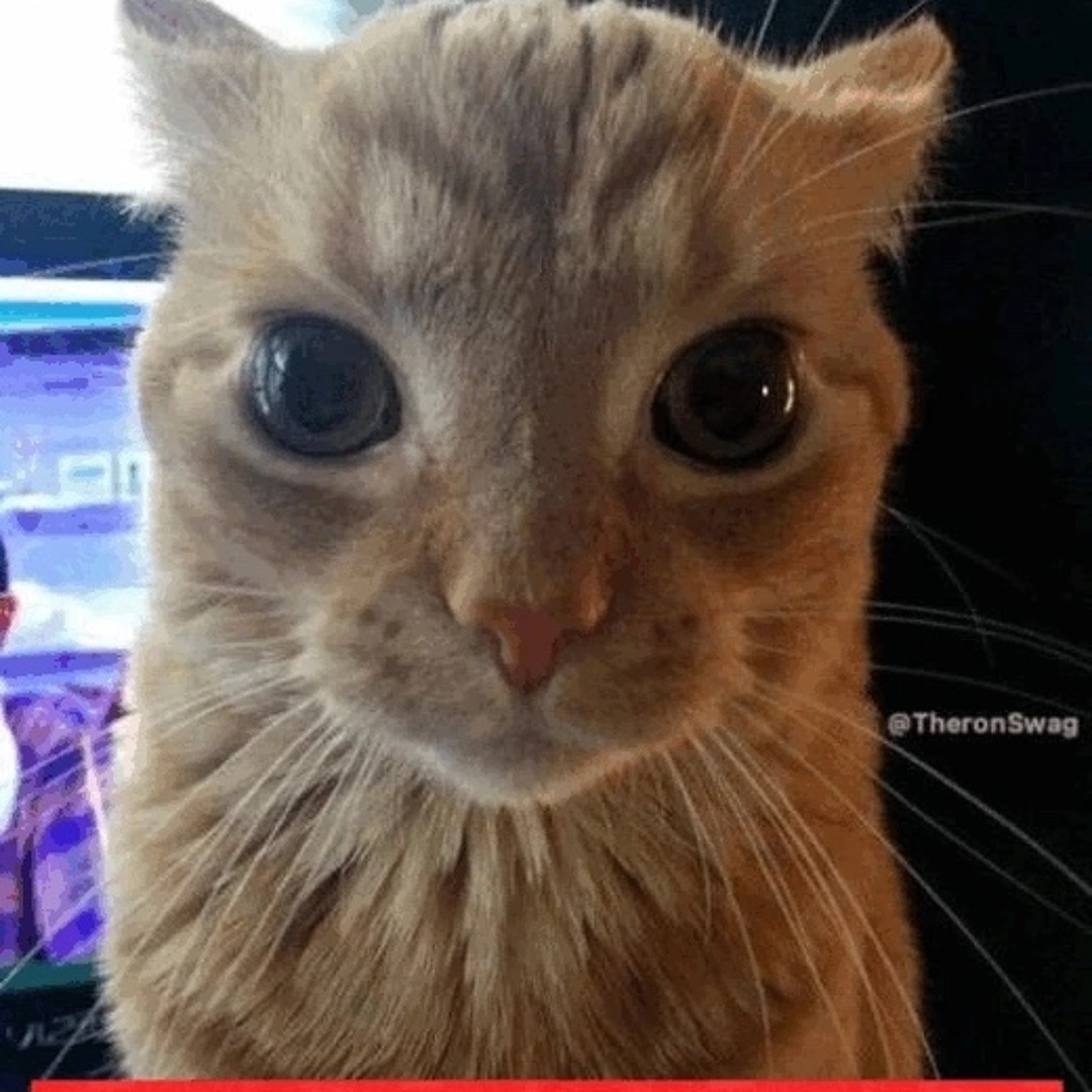 Stream Даниил Тэйлор Listen To олд Playlist Online For Free On Soundcloud