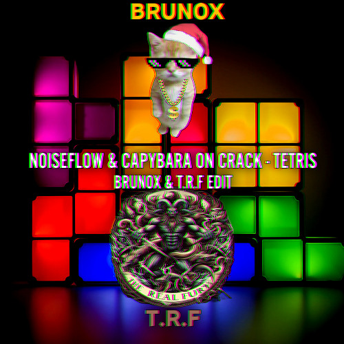 Stream NOISEFLOW & CAPYBARA ON CRACK - TETRIS (BRUNOX & T.R.F UPTEMPO ...