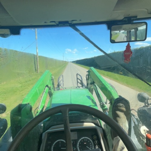 Stream Hamish Paton | Listen to Drugs at the river playlist online for ...