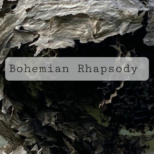 Stream Bohemian Rhapsody Cover by Jenni Cary | Listen online for free ...