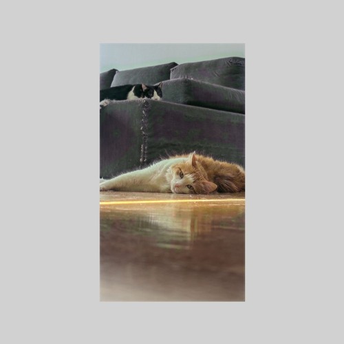 Stream BL3SS x CamrinWatsin - Kisses (Remix) by Jervi | Listen online ...