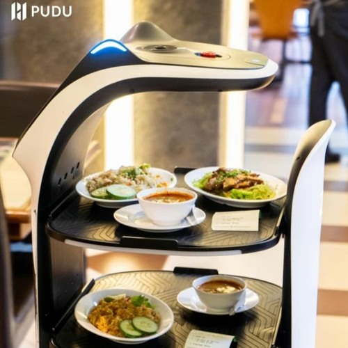 Stream Robot Horeca – Probotics Service Robots by Probotics Service ...