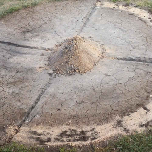 Stream Maurice crow dog singing qaunnah bday mtg by kendon horselooking ...