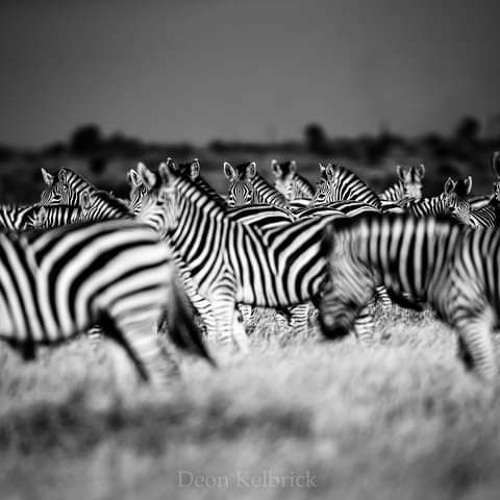 Stream Isimo(Original) by artFikzo | Listen online for free on SoundCloud