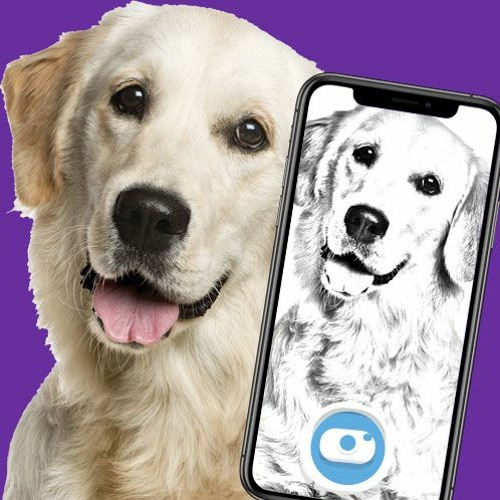 Stream episode Crayola Color Camera app turns photos into coloring ...