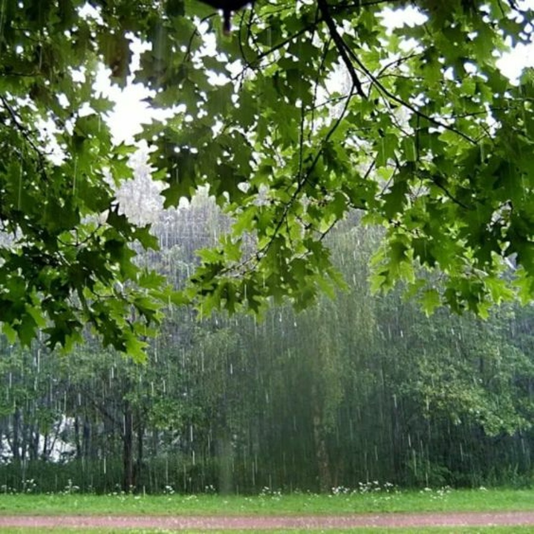 Stream Fast Paced background music for video (FREE DOWNLOAD) by Phineas ...