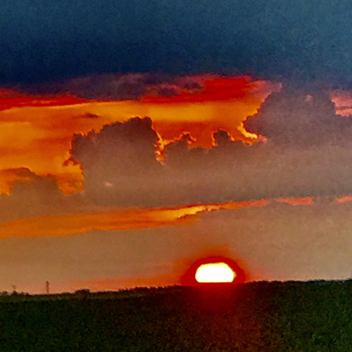 Stream I’m back everyone by LiL griff | Listen online for free on ...