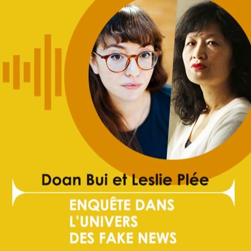Stream ENQUÊTE DANS L’UNIVERS DES FAKE NEWS - Doan Bui et Leslie Plée ...