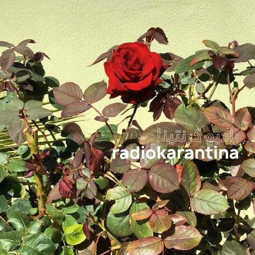 Stream RADIO KARANTINA | Day Forty Nine - Rami Abi Rafeh by ...