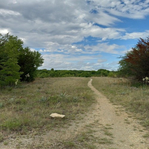 Stream the best place to have an abortion by Rao Goat | Listen online ...