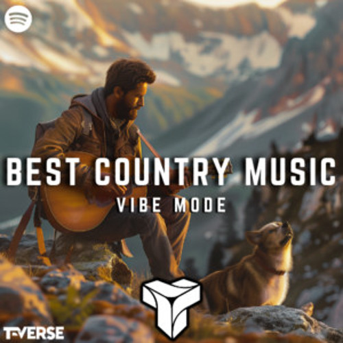 Stream T-VERSE | Listen to Best Country Music 2024 🎸 - Vibe Selection ...