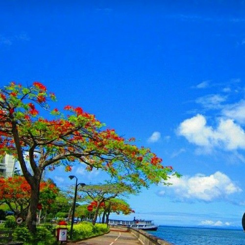 Stream Na Vanua Lagilagi (Isa Viti) cover - Bill Lote, Dokidoki Gospel ...