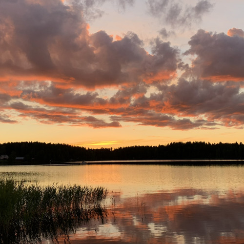 Stream 24 March 2024 by Random Prophecies | Listen online for free on ...