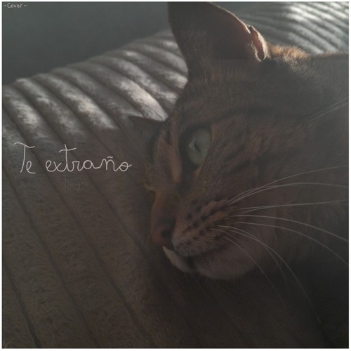 Stream Te Extraño (jiyu) - cover by dmiyko | Listen online for free on ...