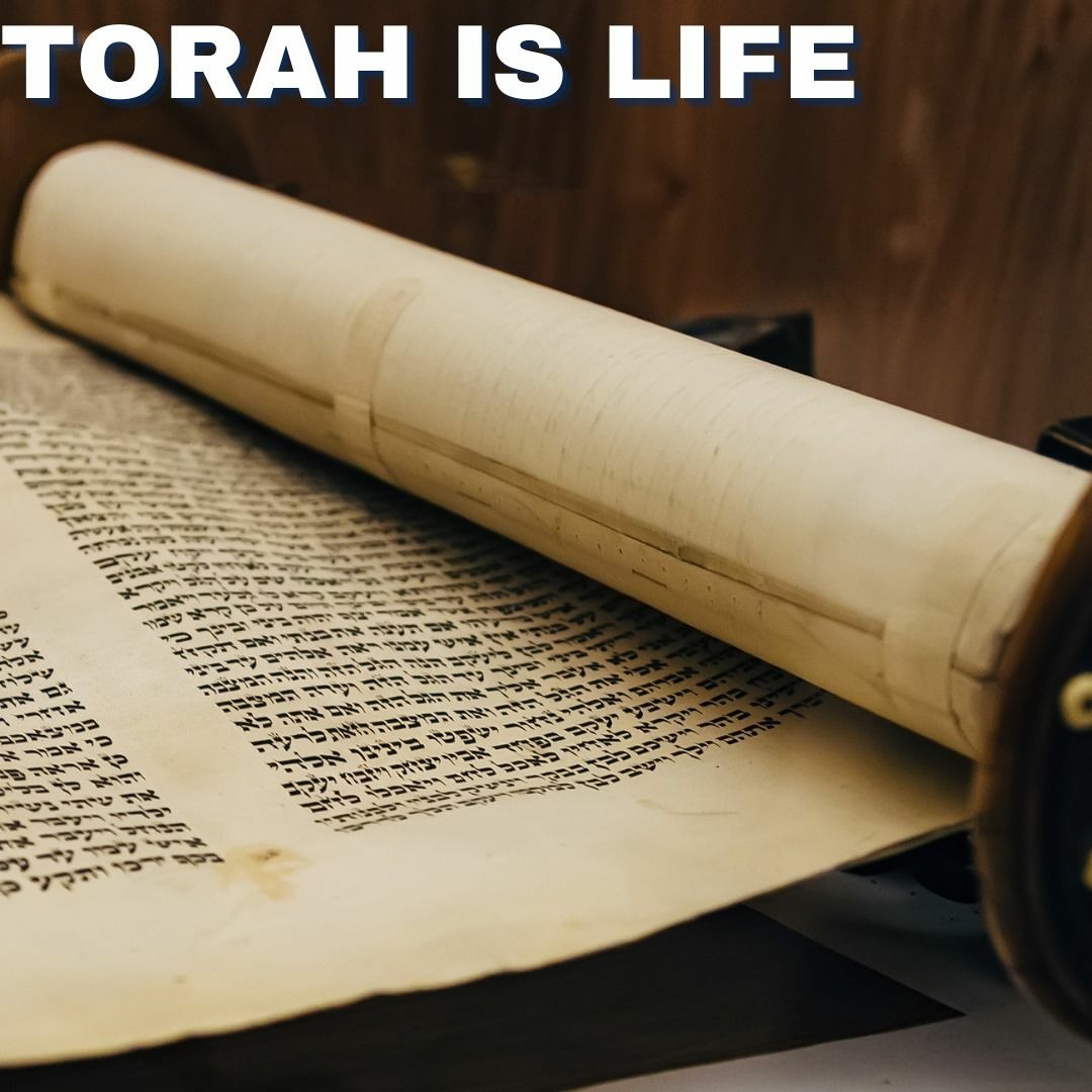 Stream PEKUDEI - TORAH IS LIFE by Rabbi Pini Dunner | Listen online for ...