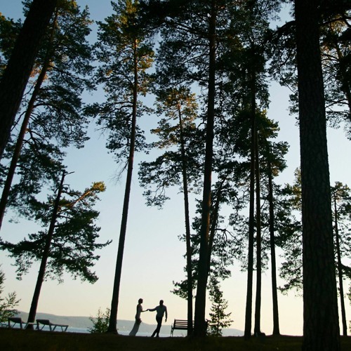 Stream HAIKU The Quietness Of Jee And Cicadas Matuo Basyou(268) by ...