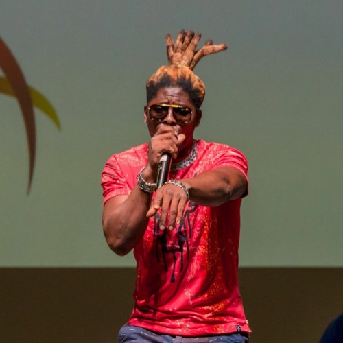 Stream SLR Aka Simba Lion - Heavy Duty Gyal. Soca 2017 (OFFICIAL) by ...