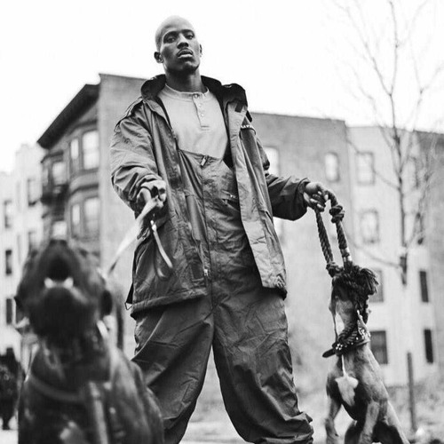 Stream DMX - Dogs For Life Remix (Prod. Big Mic) by Big Mic | Listen ...