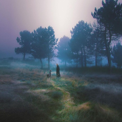 Stream frogmans fishing spot by White fox archetype | Listen online for ...