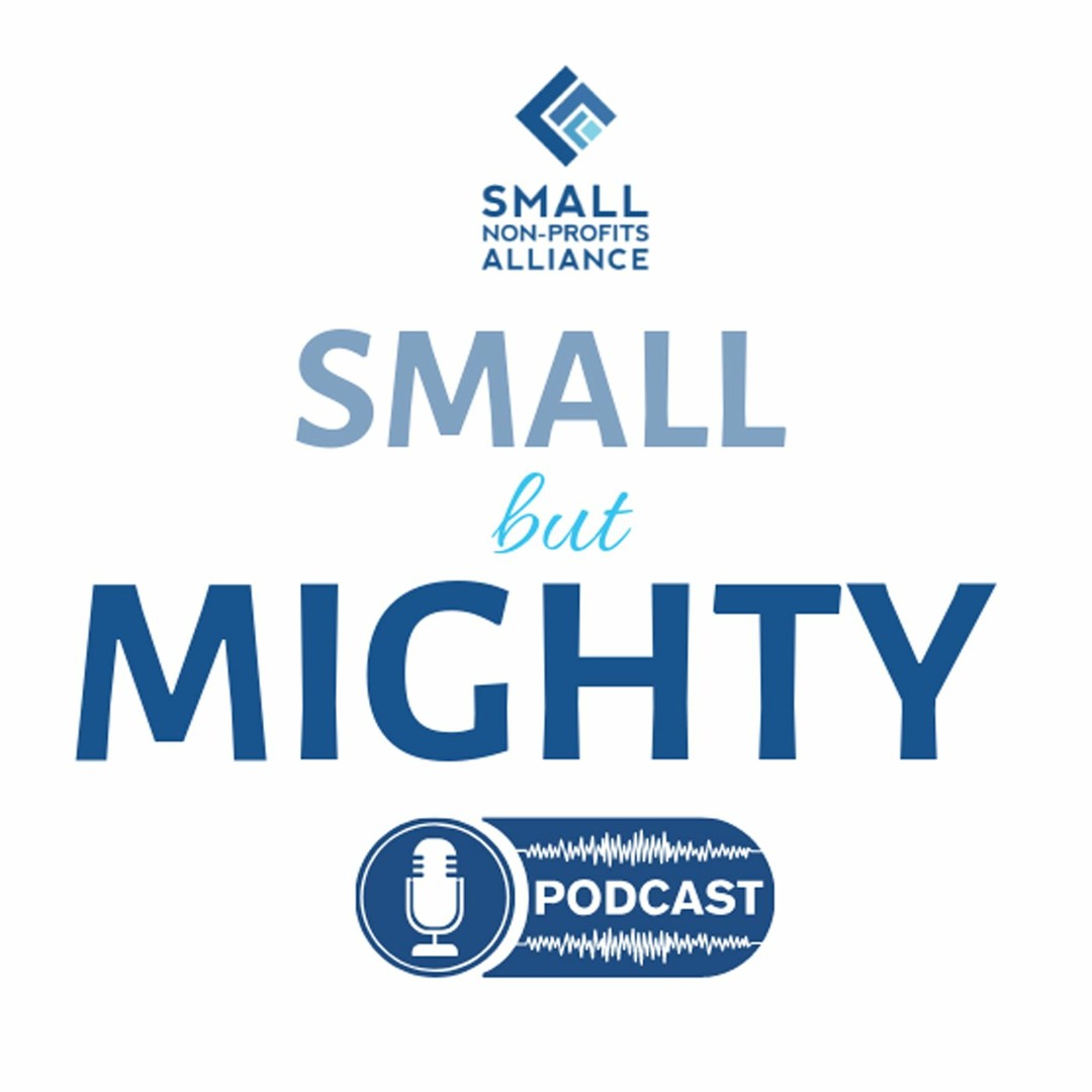 Stream episode 17. Mid-year health check for small non-profits by Small ...