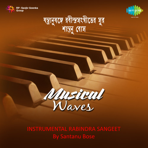 Stream Amar Mallika Bone - Instrumental - Santanu Basu by Santanu Basu ...