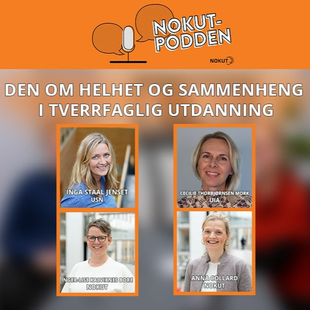 Stream episode Den om helhet og sammenheng i tverrfaglig utdanning by ...