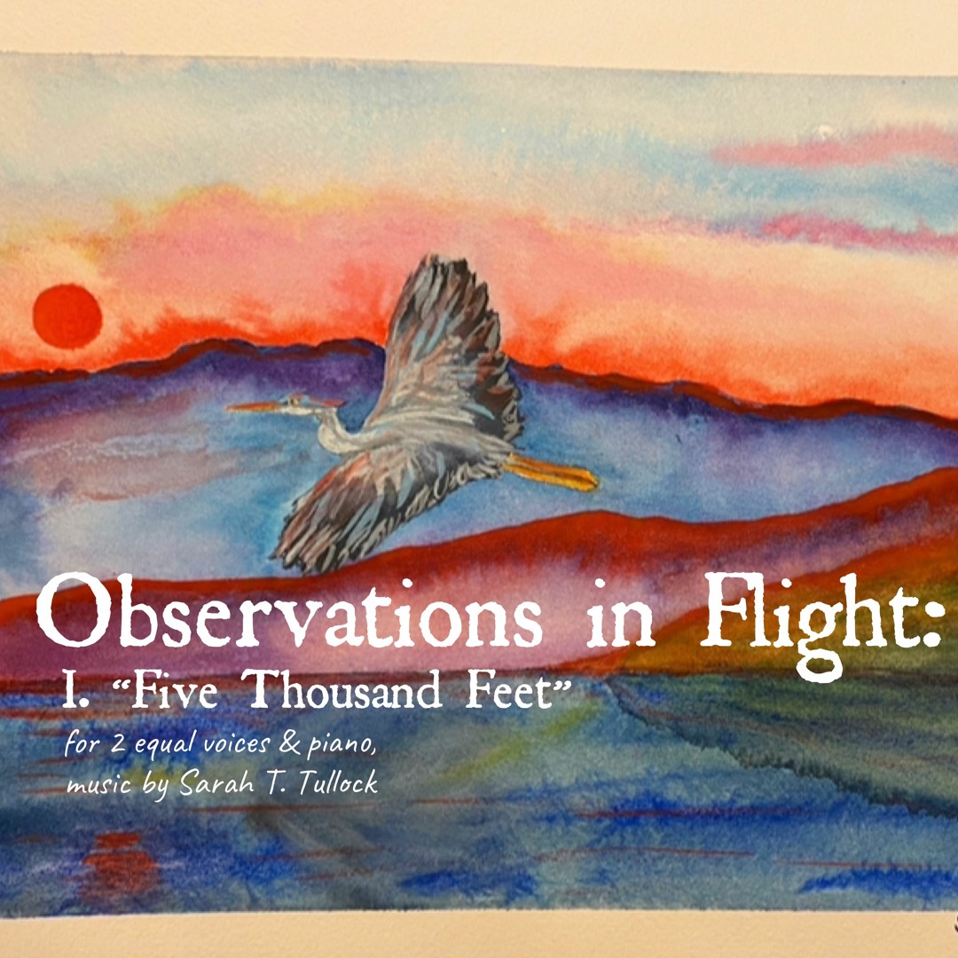 Stream Observations in Flight: I. "Five Thousand Feet" by Sarah T ...