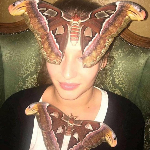 Stream EVERYTHING IS OVER by ZOR | Listen online for free on SoundCloud