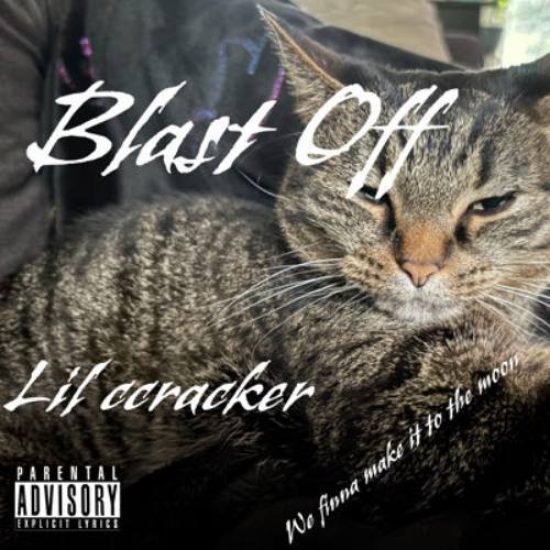 Stream New P̶r̶o̶j̶e̶c̶t̶ nah this the neW ALBUM by lil ccracker ...
