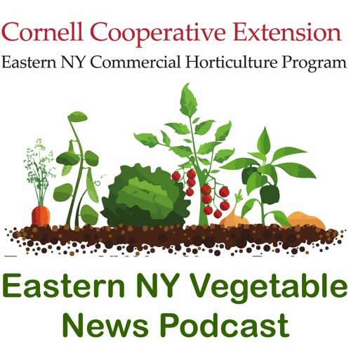 Stream FSMA Updates with Gretchen Wall by Eastern New York Veg News ...