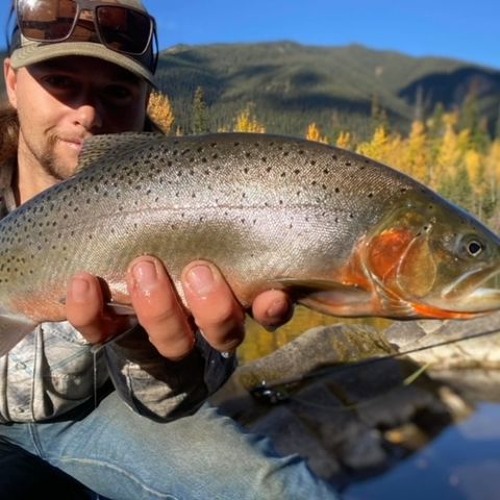 Stream episode 225 Cameron Coates, Guide Legacy Bighorn, Interior Fly ...