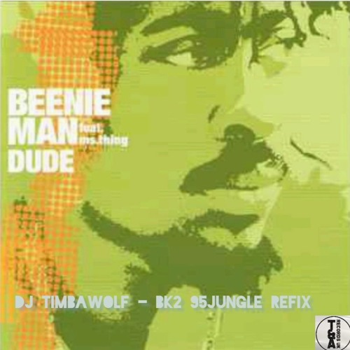 Stream TIMBAWOLF - Dude (TW Jungle back2 95 Mix) by T&A ENTERTAINMENT ...
