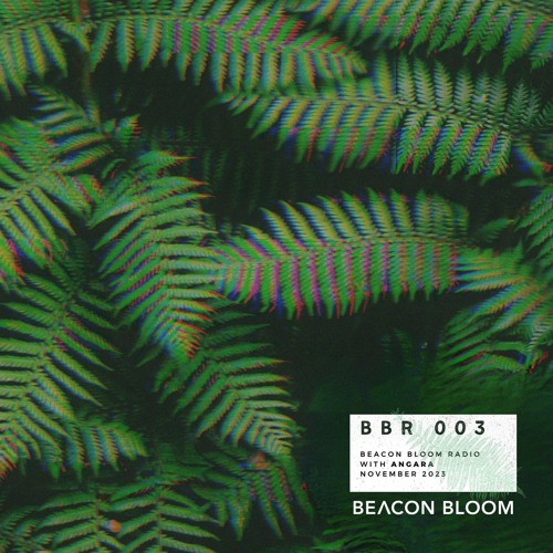 Stream Beacon Bloom Radio 003 with Angara by Beacon Bloom | Listen online for free on SoundCloud