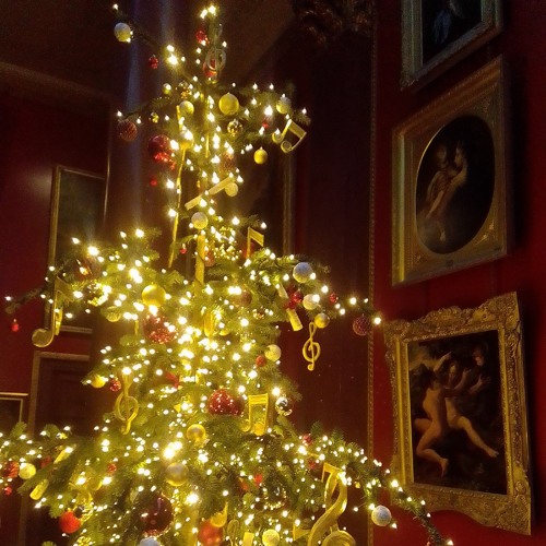 Stream The Living Tree.mp3 by David De Winter | Listen online for free on SoundCloud