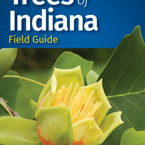 Stream (PDF) READ Trees of Indiana Field Guide (Tree Identification ...