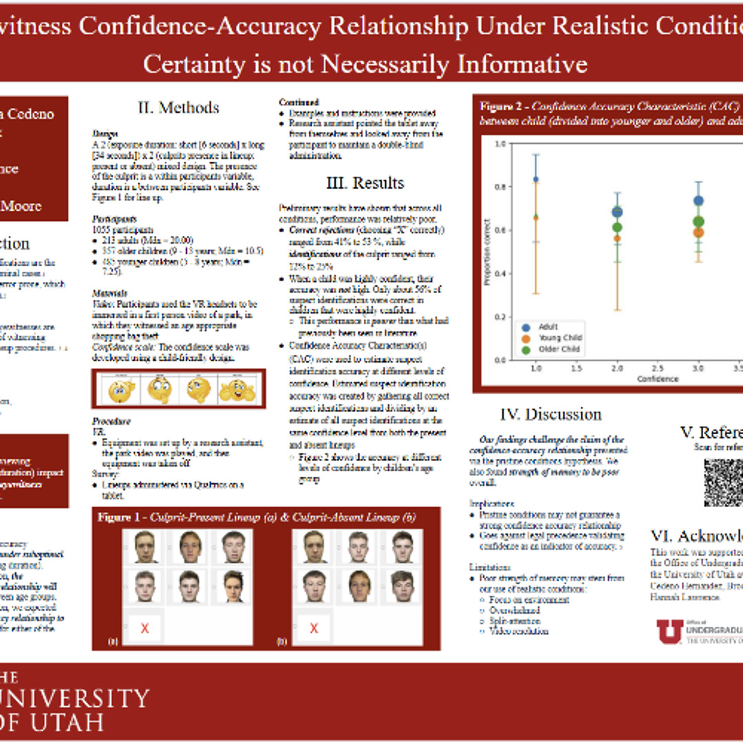 Stream Eyewitness Confidence-Accuracy Relationship Under Realistic ...