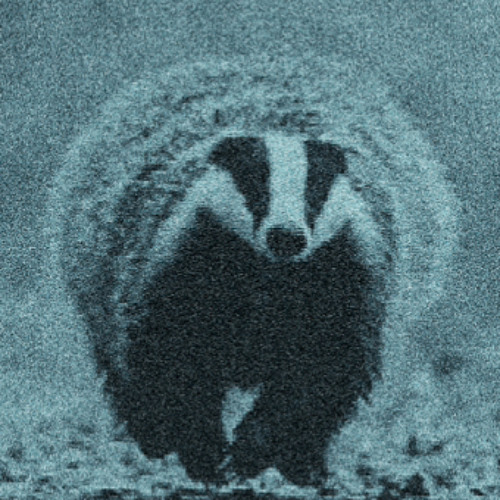 Stream Sad Badger by Kitten | Listen online for free on SoundCloud