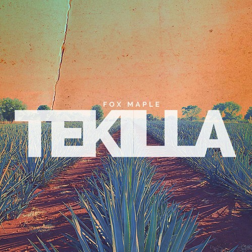 Stream Fox Maple - TeKilla by Fox Maple | Listen online for free on ...