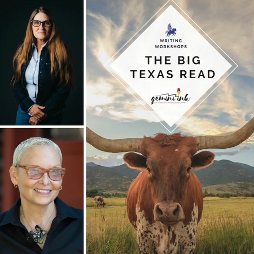 Stream The Big Texas Read with Allison Hedge Coke from Gemini Ink ...