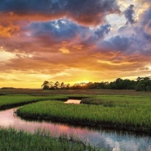 Stream Straight From the Lab 3 - Full Leaked Album by 7h3 5c0u7 ...