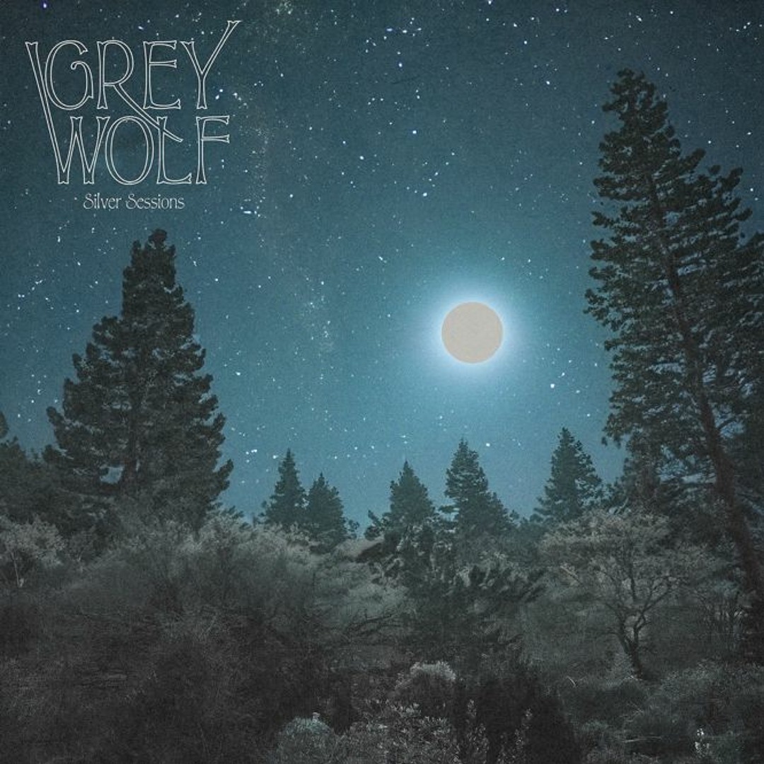 Stream 'Silver Sessions' Album Sampler by Gwmusicinfo | Listen online ...