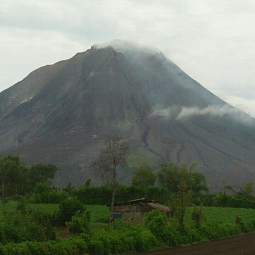 Stream Asmaria Sembiring | Listen to natu playlist online for free on ...