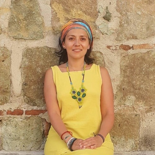 Stream episode Ximena Contla with Data Friendly Space by Humanitarian ...