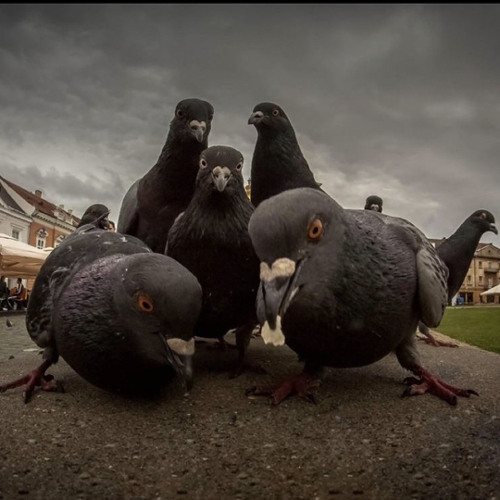 Stream vyrval - H3ЯД7luCJIo0T6....mp3 by xXKAMIZAKIXx | Listen online ...