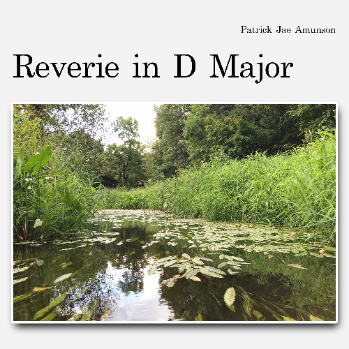 Stream Reverie in D Major by Amunson Audio | Listen online for free on ...