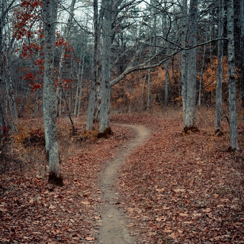 Stream Going Away | Listen to A Gradual Stop playlist online for free ...