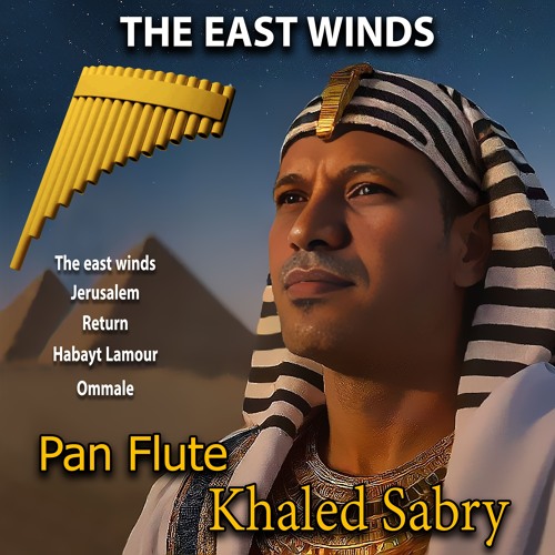 Stream Khaled Sabry - Pan Flute Solist | Listen to خالد صبرى بان فلوت ...