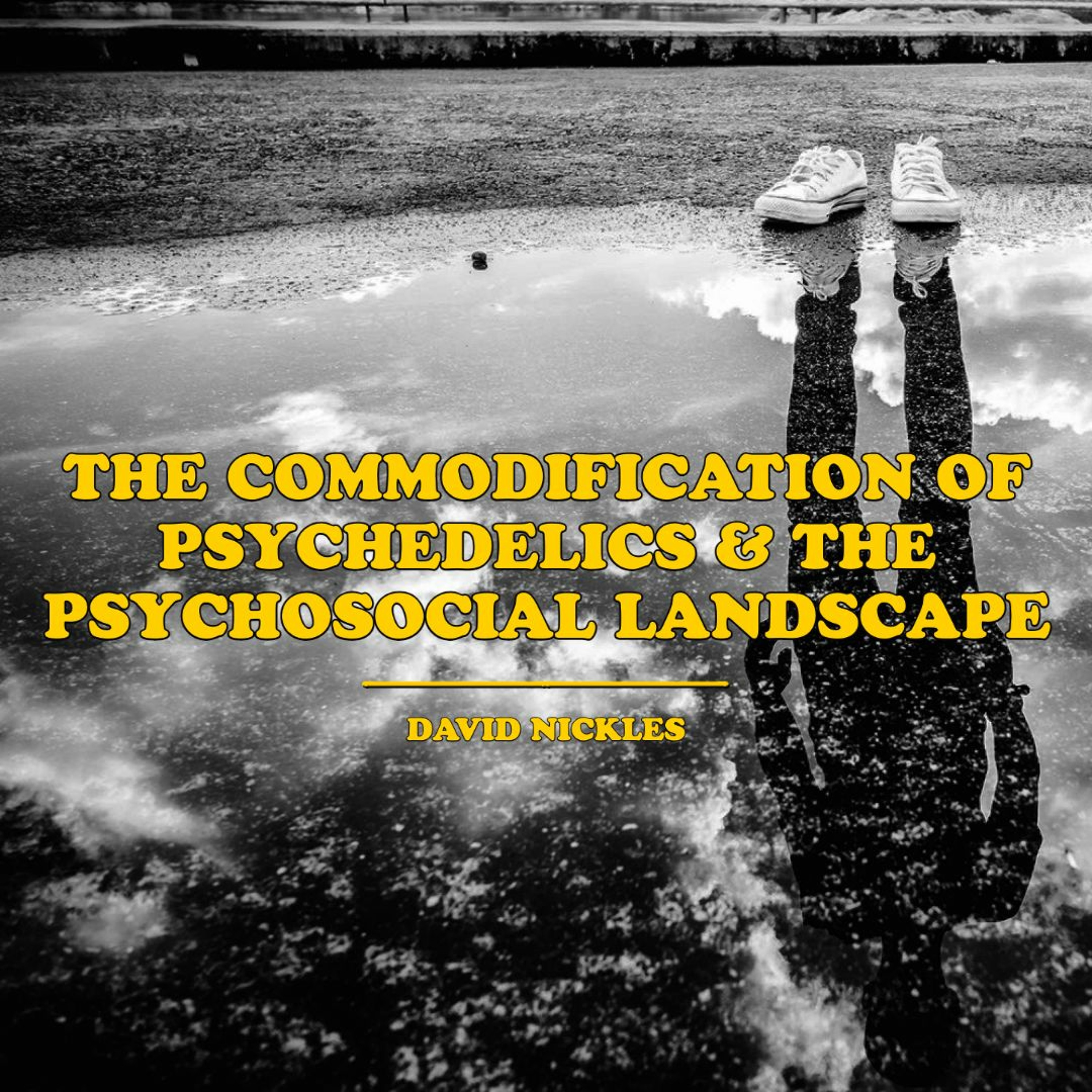 David Nickles: The Commodification Of Psychedelics & The Psychosocial ...